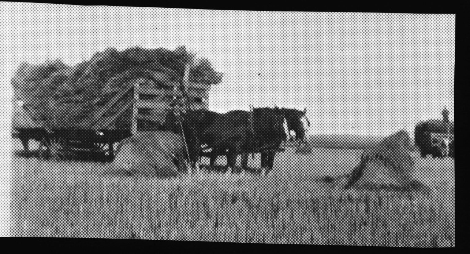 Soldier Spotlight: George Fish - South Peace Regional Archives